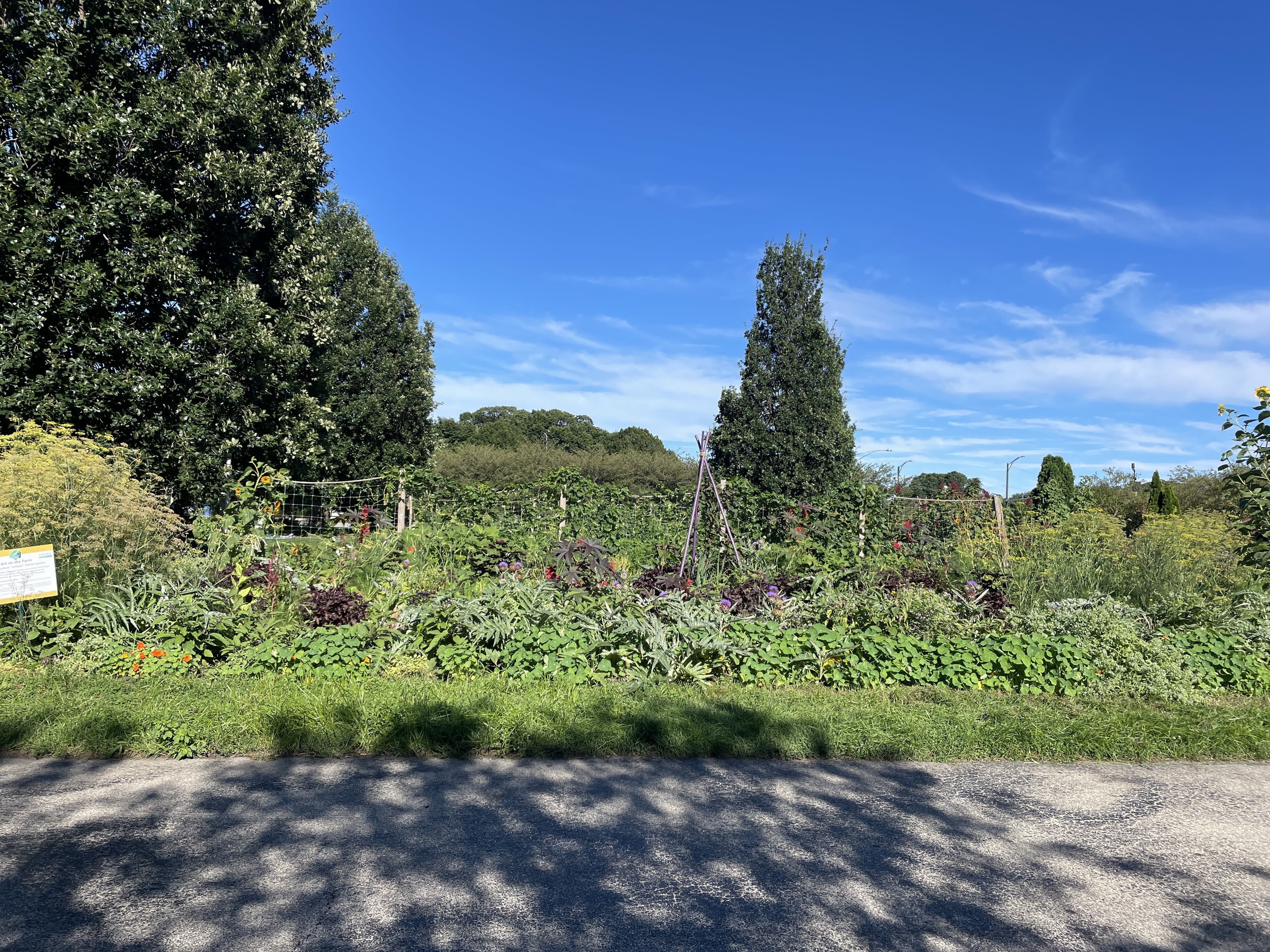 The Future of Food & Farming with Urban Growers Collective – Healthy ...